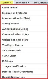 Client Chart Overview - Help Center