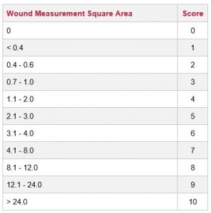 Wound Manager on Axxess CARE