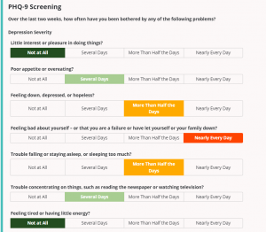 Depression Screening in Axxess Palliative Care