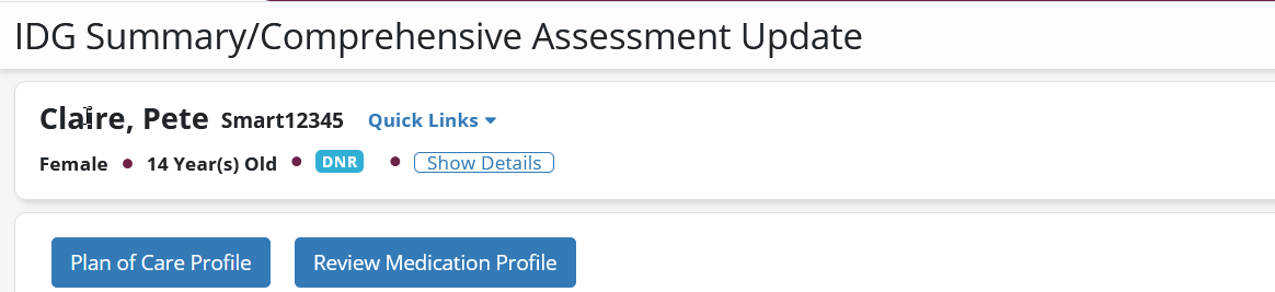 IDG Summary/Comprehensive Assessment in Axxess Palliative Care
