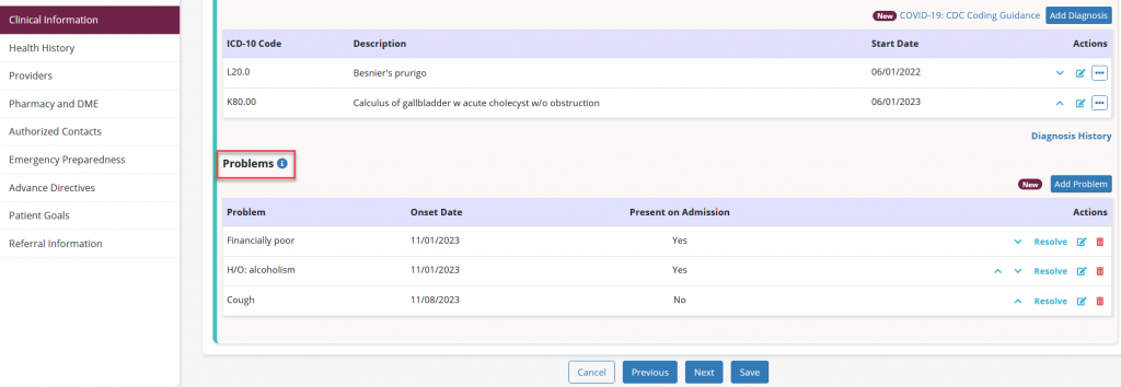 Problems Section in Patient Charts on Axxess Palliative Care