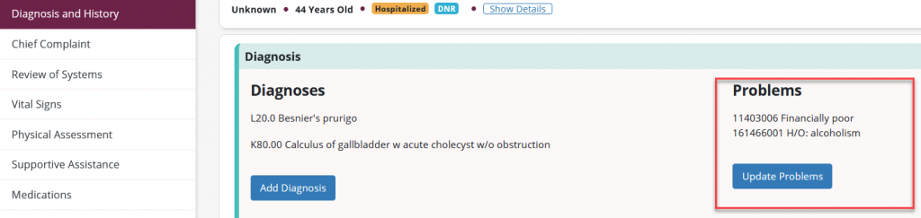 Problems Section in Patient Charts on Axxess Palliative Care