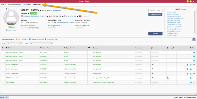 Download and Print Patient Chart in Axxess Home Health